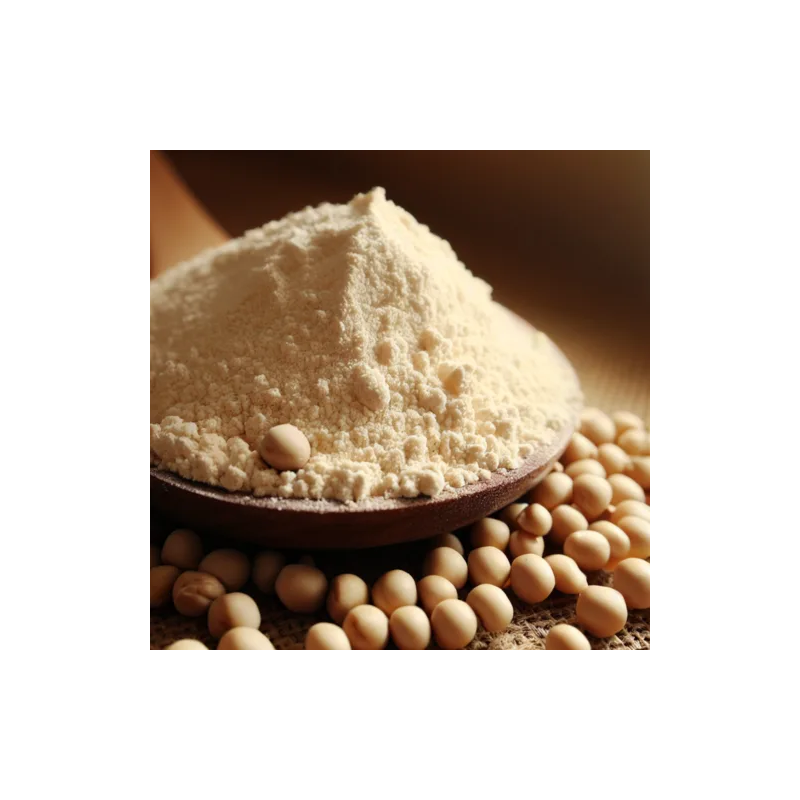 Soy Protein Concentrate (food) 454g